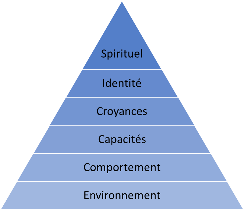 Self-defence: The Dilts Pyramid